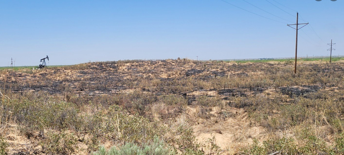 Maddox_Road_Grass_fire | Lea County Tribune